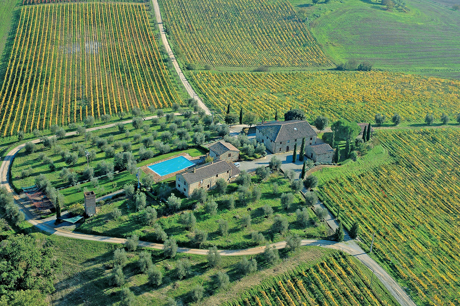 esterni-e-piscina-1 - Tenuta di Monaciano